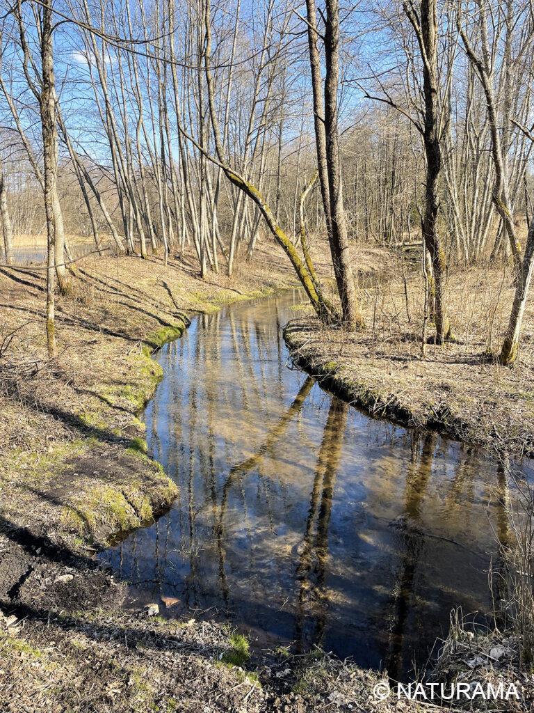 Rudaminos-Rukainės senslėnis (15 km) | Naturama