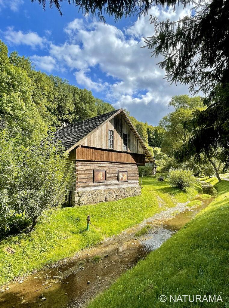 Panemunėmis ties Plokščiais (7 km) | Naturama